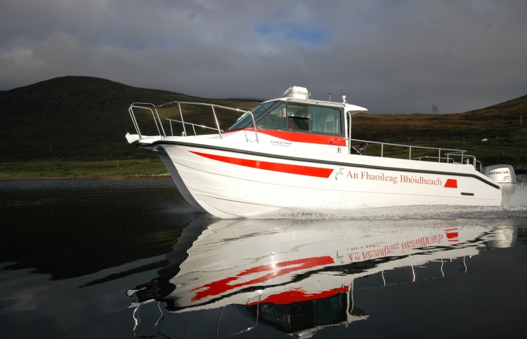 7.9m SERIES 2.7m BEAM Lengths: 7.9m | Cheetah Marine LLP